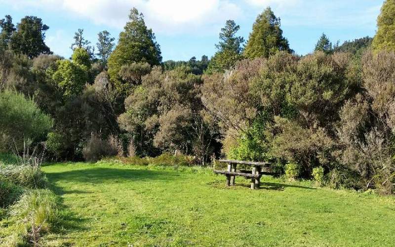 Mount Bruce Scenic Reserve | Freedom/Basic Camp | New Zealand